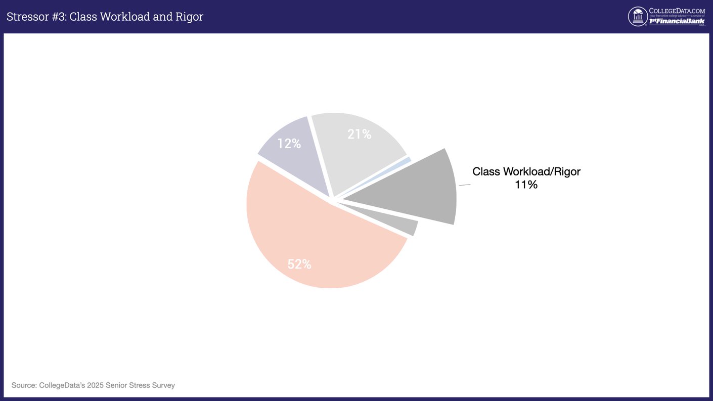 Senior-Year Stress: Here’s What Students Say and Do About It | CollegeData
